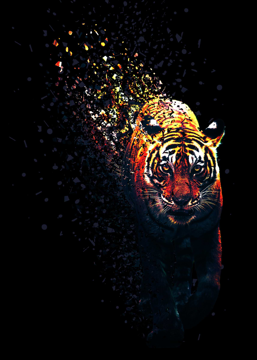 'Tiger Dispersion' Poster, picture, metal print, paint by Weilichesmag ...