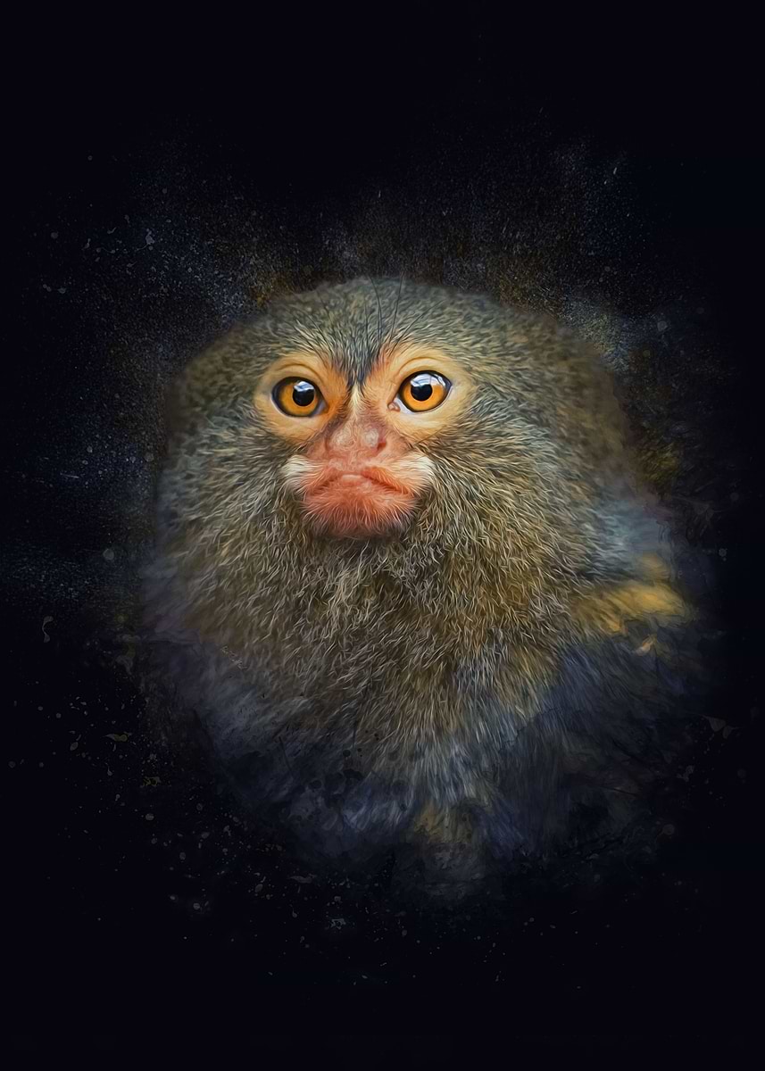 'Pygmy marmoset' Poster, picture, metal print, paint by PearCatProd ...