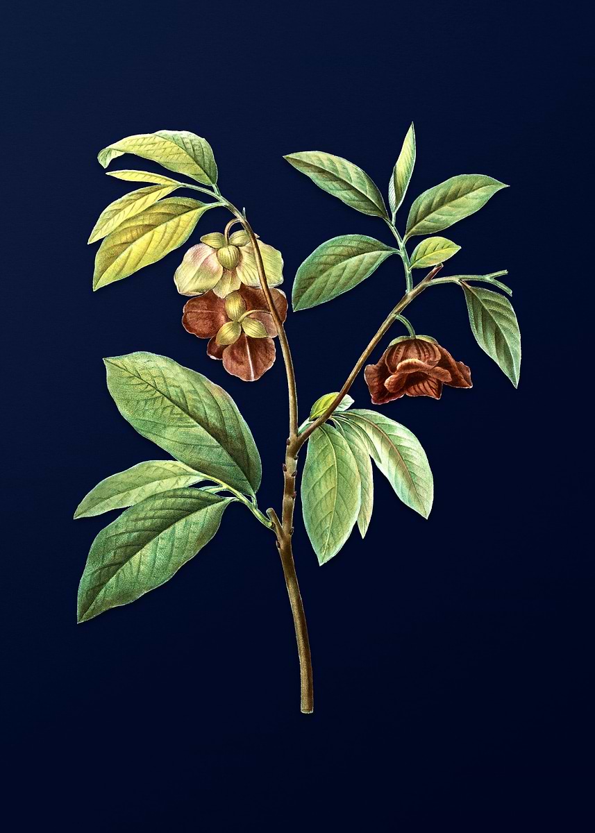 'Blue Leaf Branch Drawing' Poster, picture, metal print, paint by Holy ...