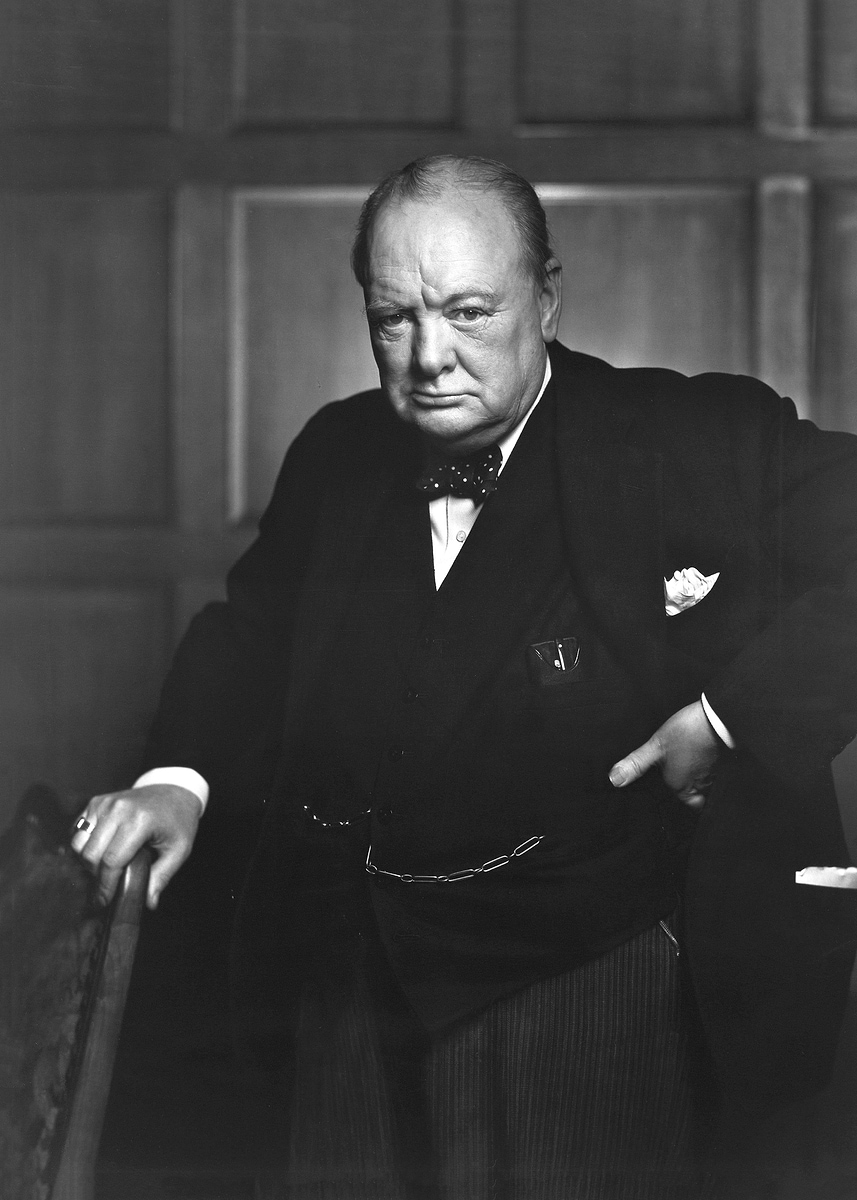 'Sir Winston Churchill' Poster, picture, metal print, paint by anamaria ...