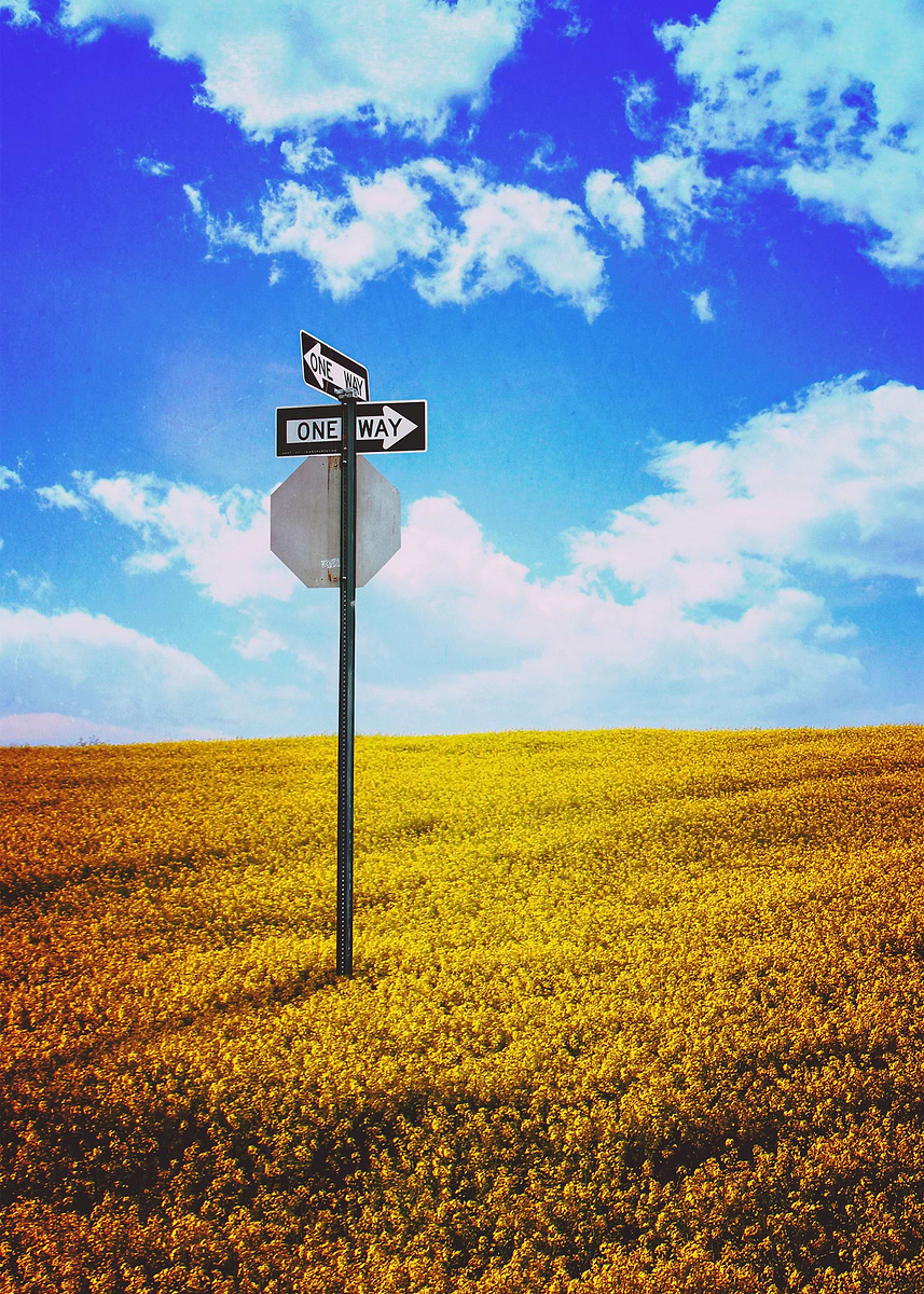 'Ambiguous Sign' Poster, picture, metal print, paint by seam less ...