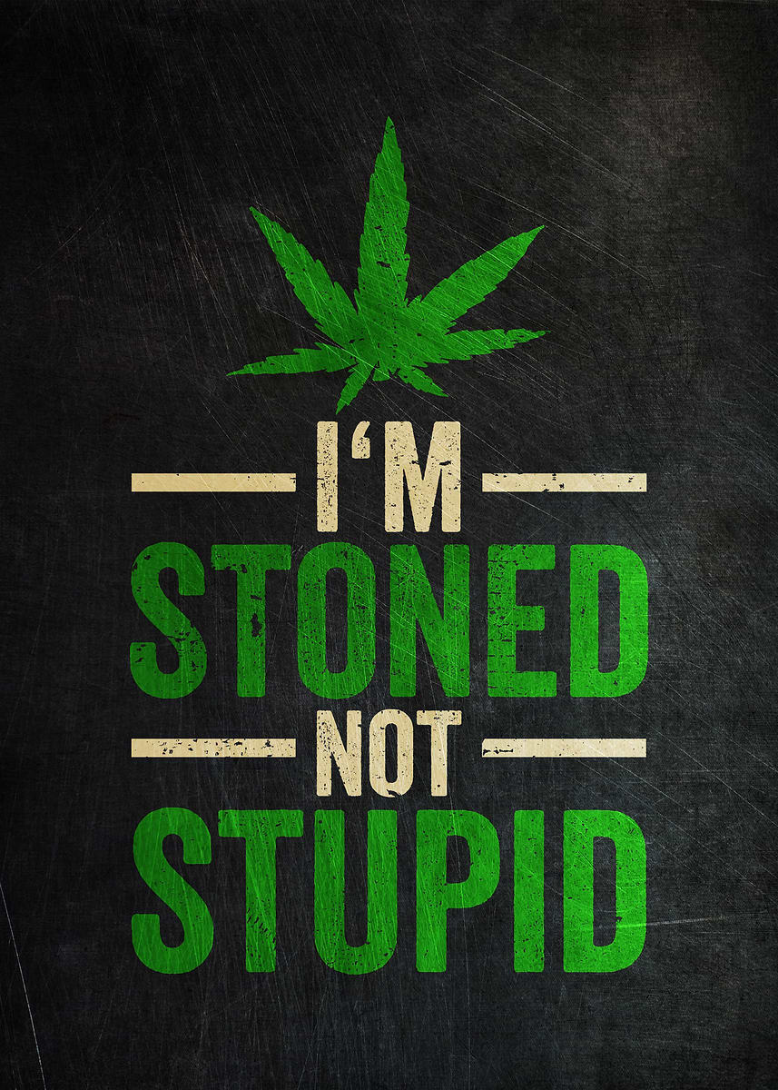 'I Am Stoned Not Stupid' Poster, picture, metal print, paint by ...