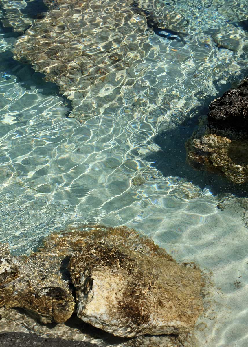 'Kedrodasos beach creta' Poster, picture, metal print, paint by ...