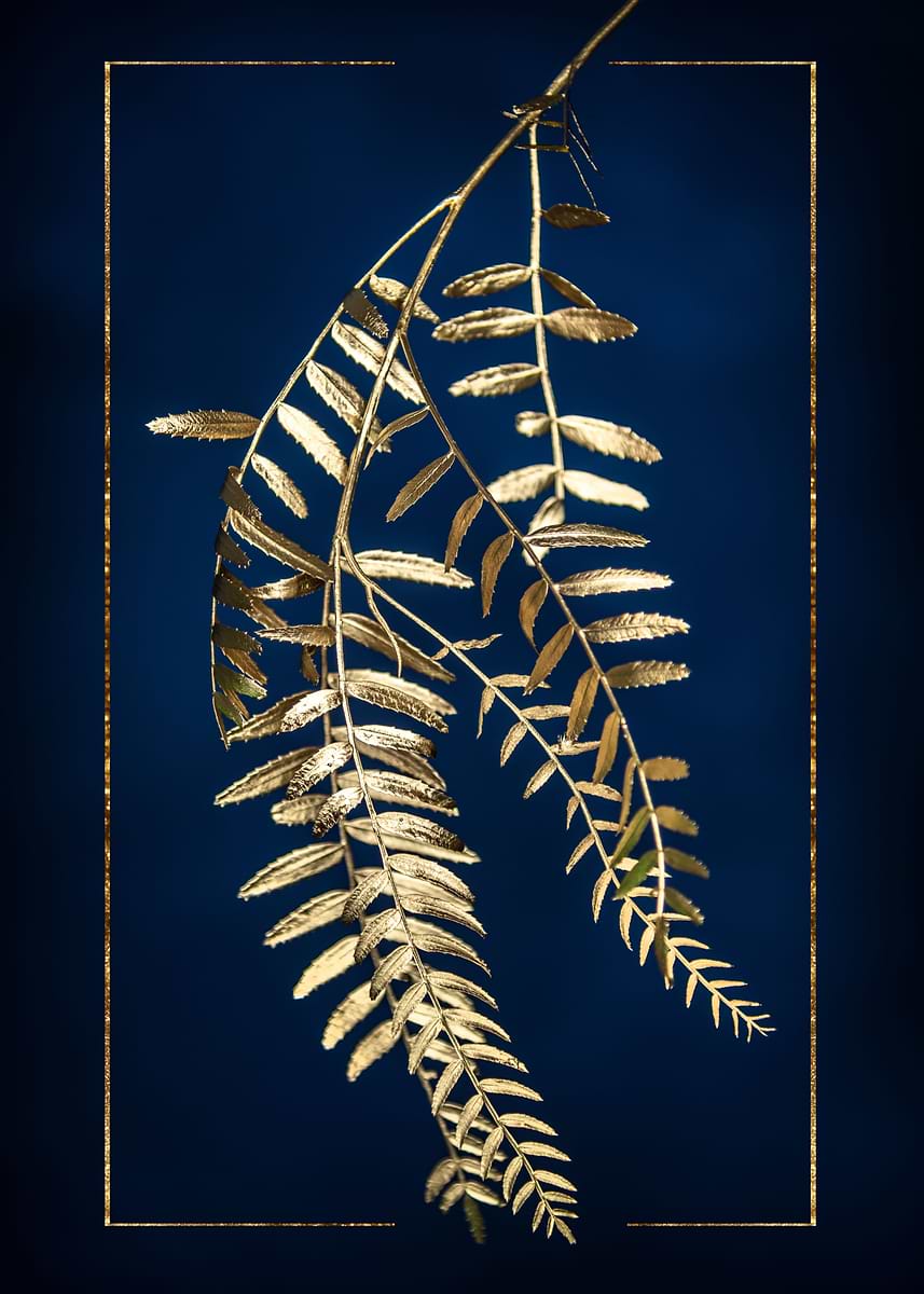 'Pepper Tree' Poster, picture, metal print, paint by Steffen Gierok ...