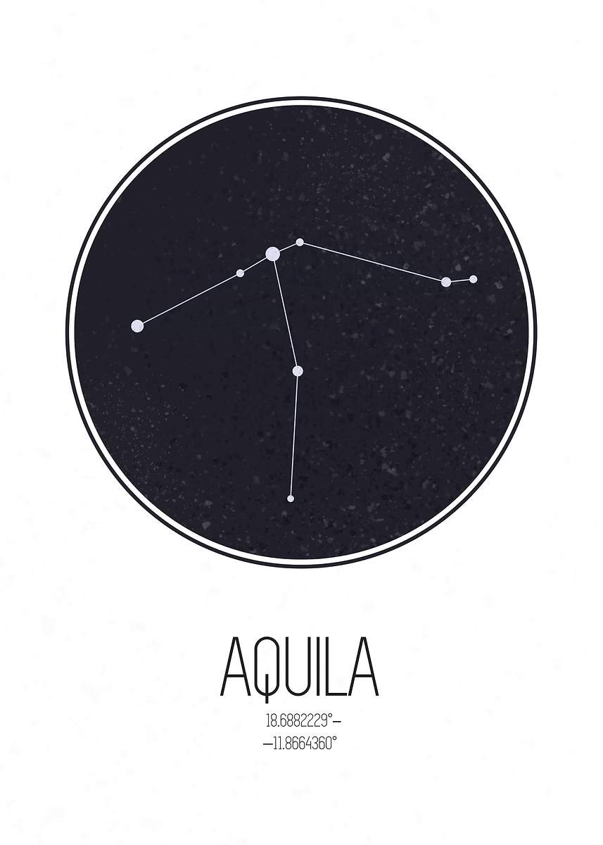 'Aquila' Poster, picture, metal print, paint by Mel Rod | Displate