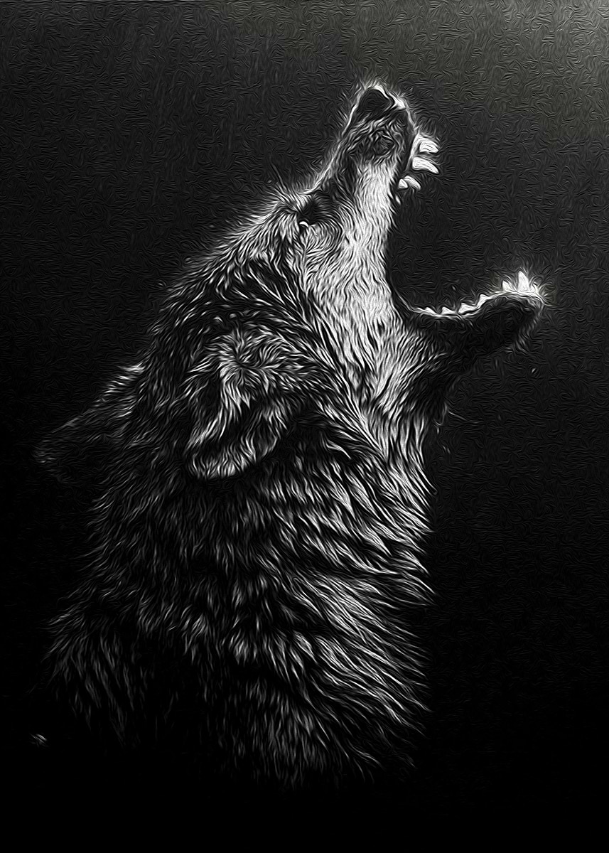 Black Wolf Angry