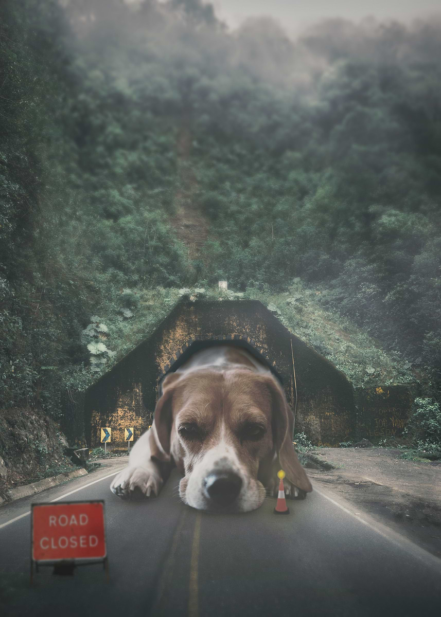 'Late for Work' Poster, picture, metal print, paint by Calum Siddall ...