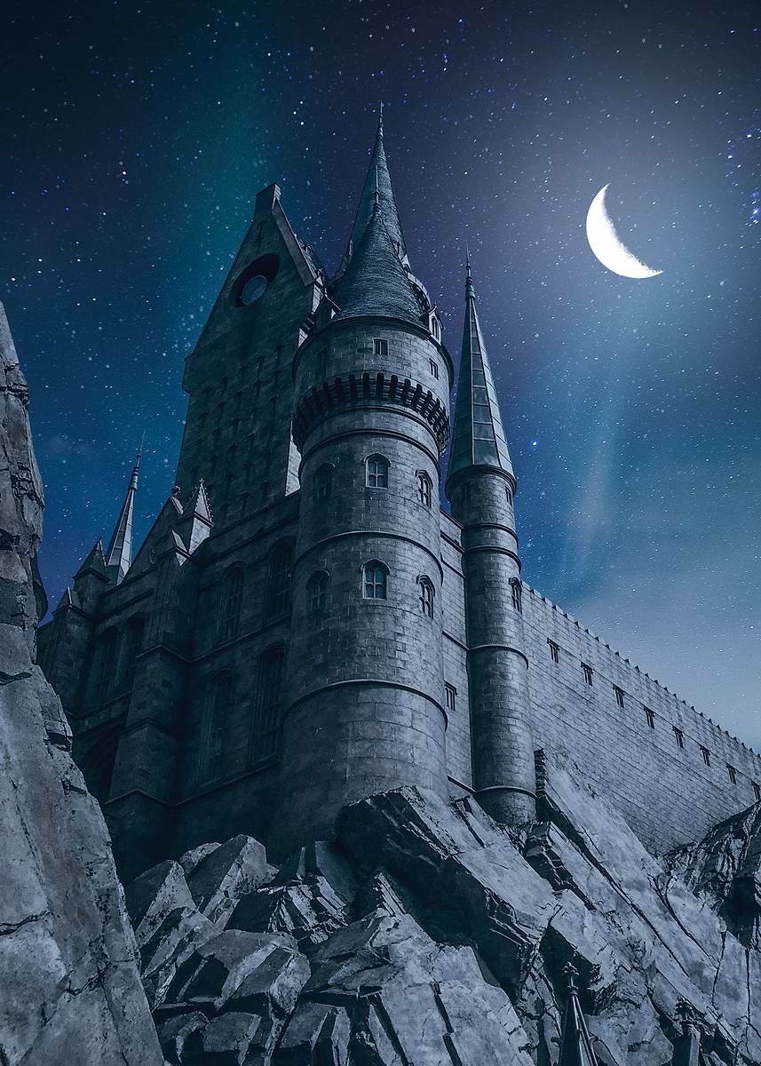 'The Castle' Poster, picture, metal print, paint by Arijit Works | Displate