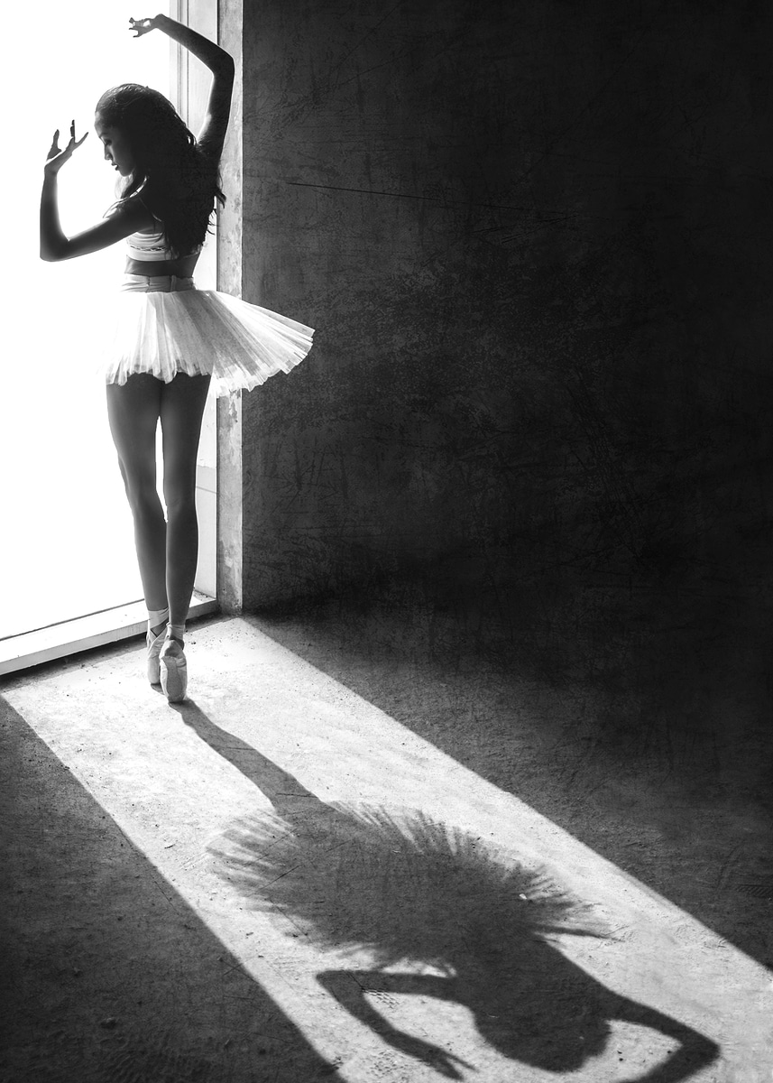 'Shadow Dance' Poster, picture, metal print, paint by World Class ...