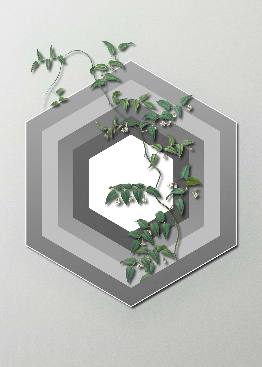 'Geometric Floral on Pastel' Poster, picture, metal print, paint by ...