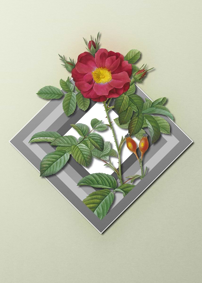 'Floral Geometric Red Roses' Poster, picture, metal print, paint by ...