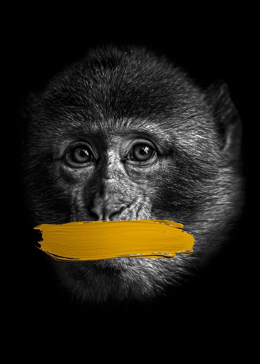 'Monkey no speak artwork ' Poster, picture, metal print, paint by m5 ...