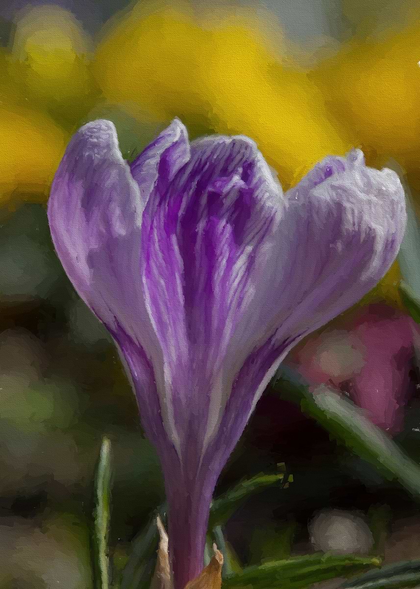 'colchicum in the garden' Poster, picture, metal print, paint by ...