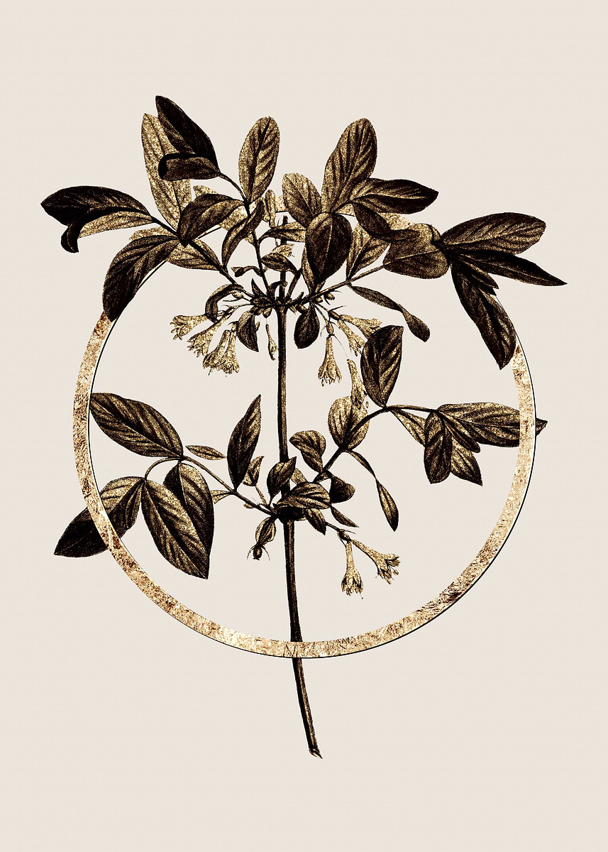 'Gold Honeyberry Flower' Poster, picture, metal print, paint by Holy ...