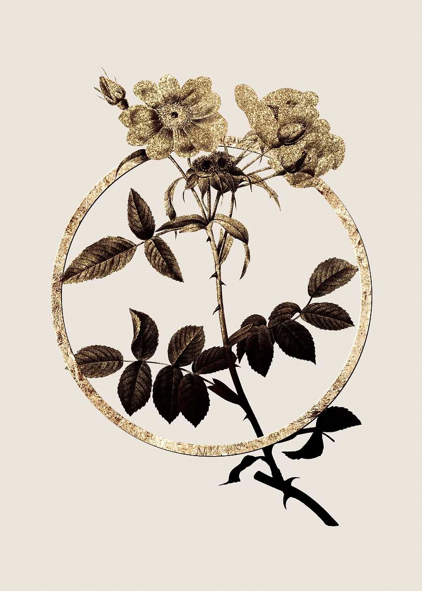 'Gold Lady Monson Rose' Poster, picture, metal print, paint by Holy ...