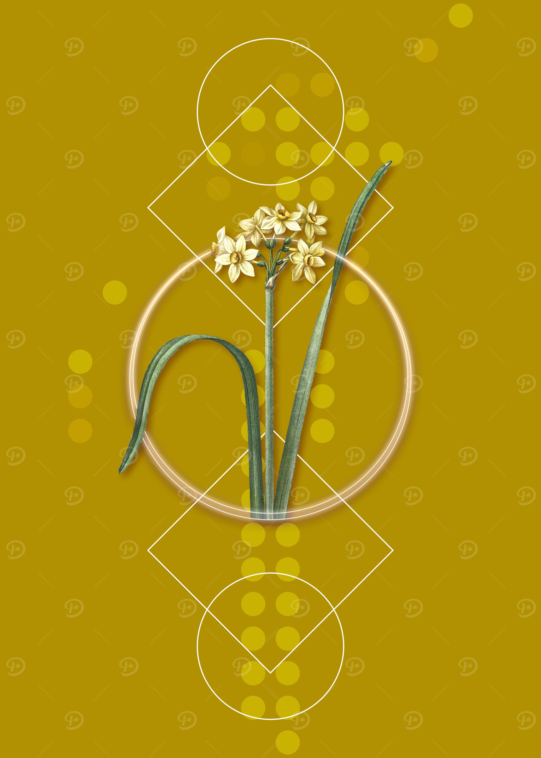 'Geometric Daffodil Flower' Poster, picture, metal print, paint by Holy ...