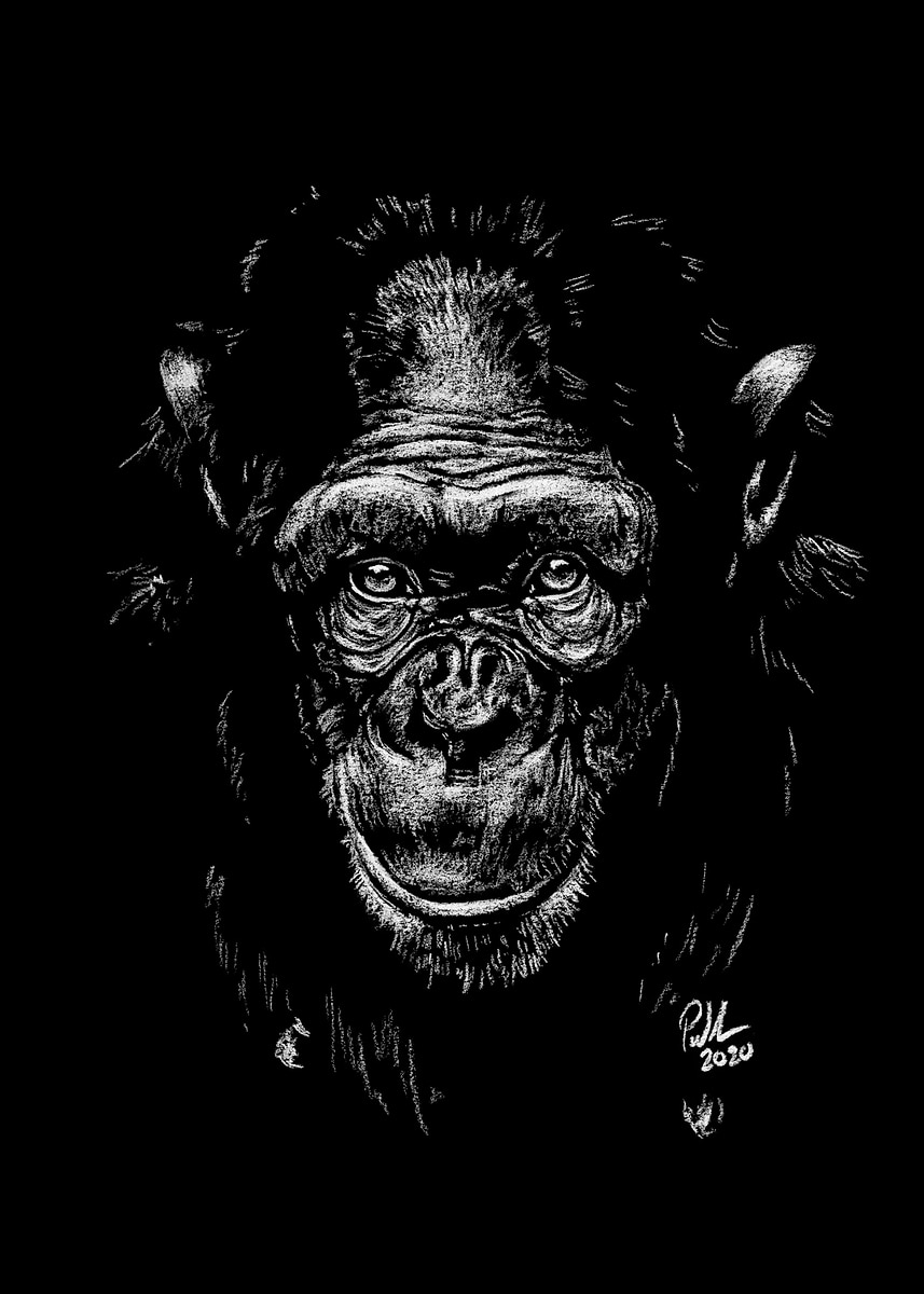 'The Wise One' Poster, picture, metal print, paint by ArtByPMW | Displate