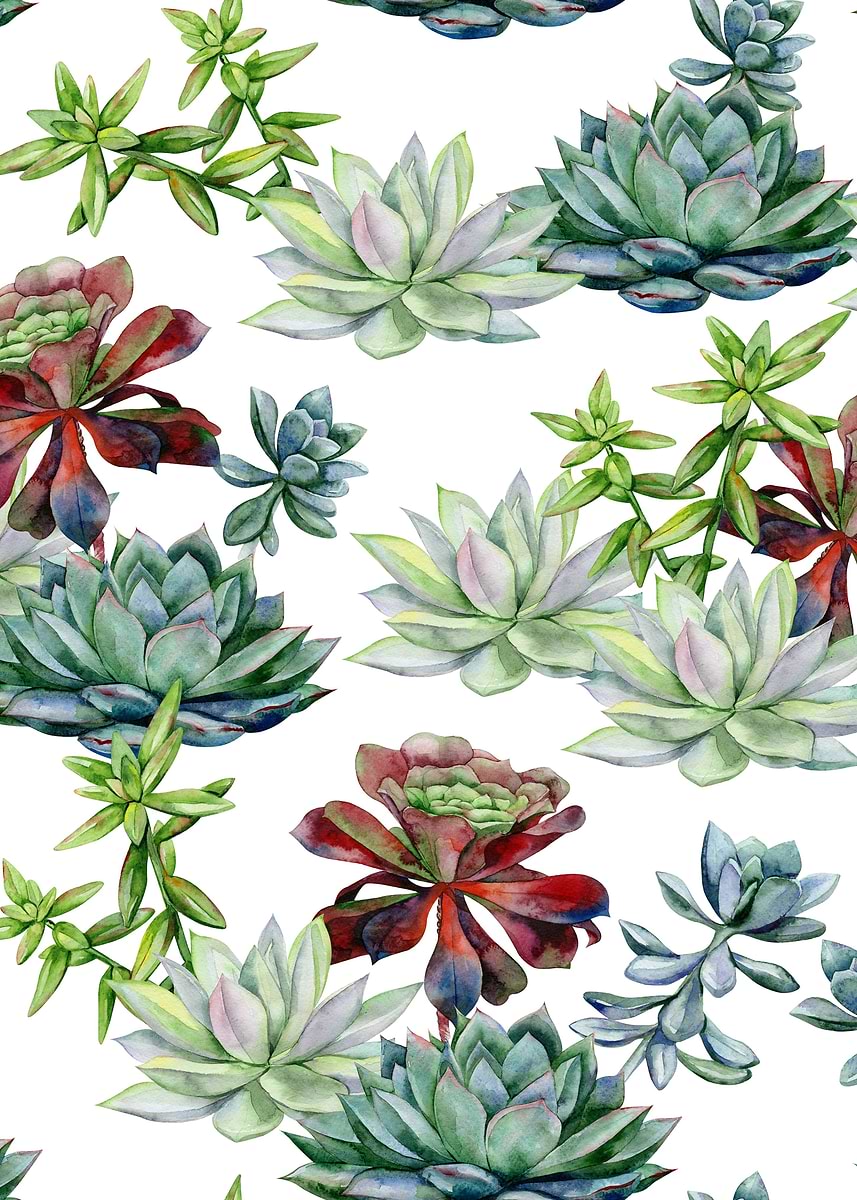 'Watercolor Succulent 09' Poster, picture, metal print, paint by Aloke ...