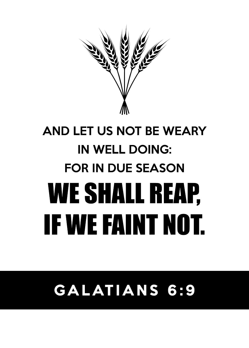 'Galatians 6 9' Poster, picture, metal print, paint by ABConcepts ...