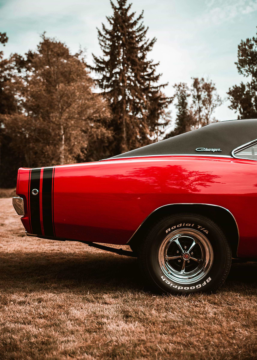 'Charger' Poster, picture, metal print, paint by cookaynne | Displate