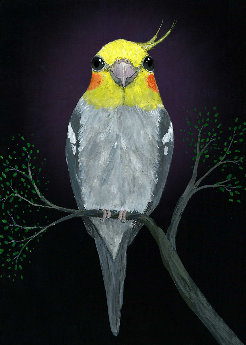 'A portrait of a cockatiel' Poster, picture, metal print, paint by ...