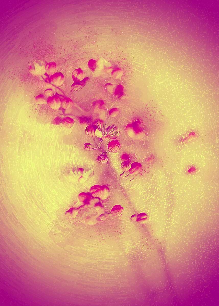 'Abstract floral painting' Poster, picture, metal print, paint by 4T4 ...