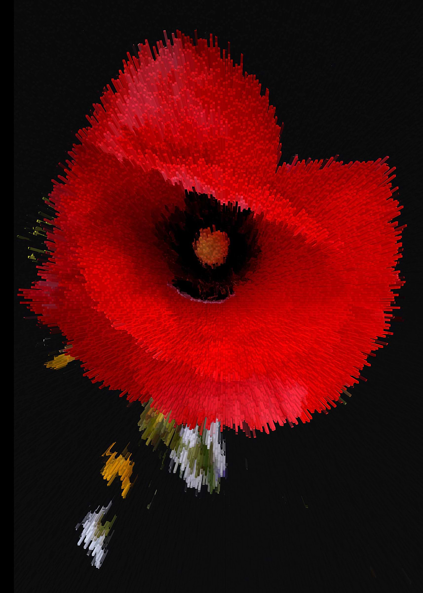'Red poppy explosion' Poster, picture, metal print, paint by Edy Art ...