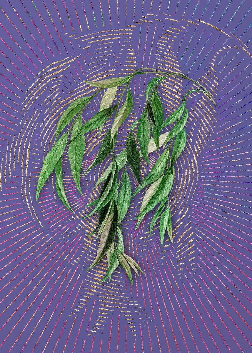 'Vintage Babylon Willow' Poster, picture, metal print, paint by Holy ...