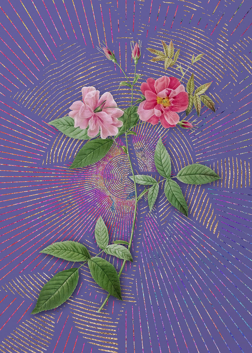 'Vintage Hudson Rosehip' Poster, picture, metal print, paint by Holy ...