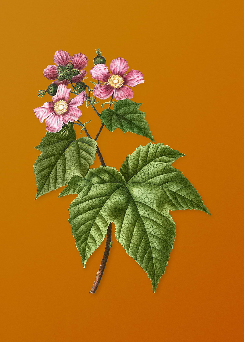 'Purple Flowered Raspberry' Poster, picture, metal print, paint by Holy ...