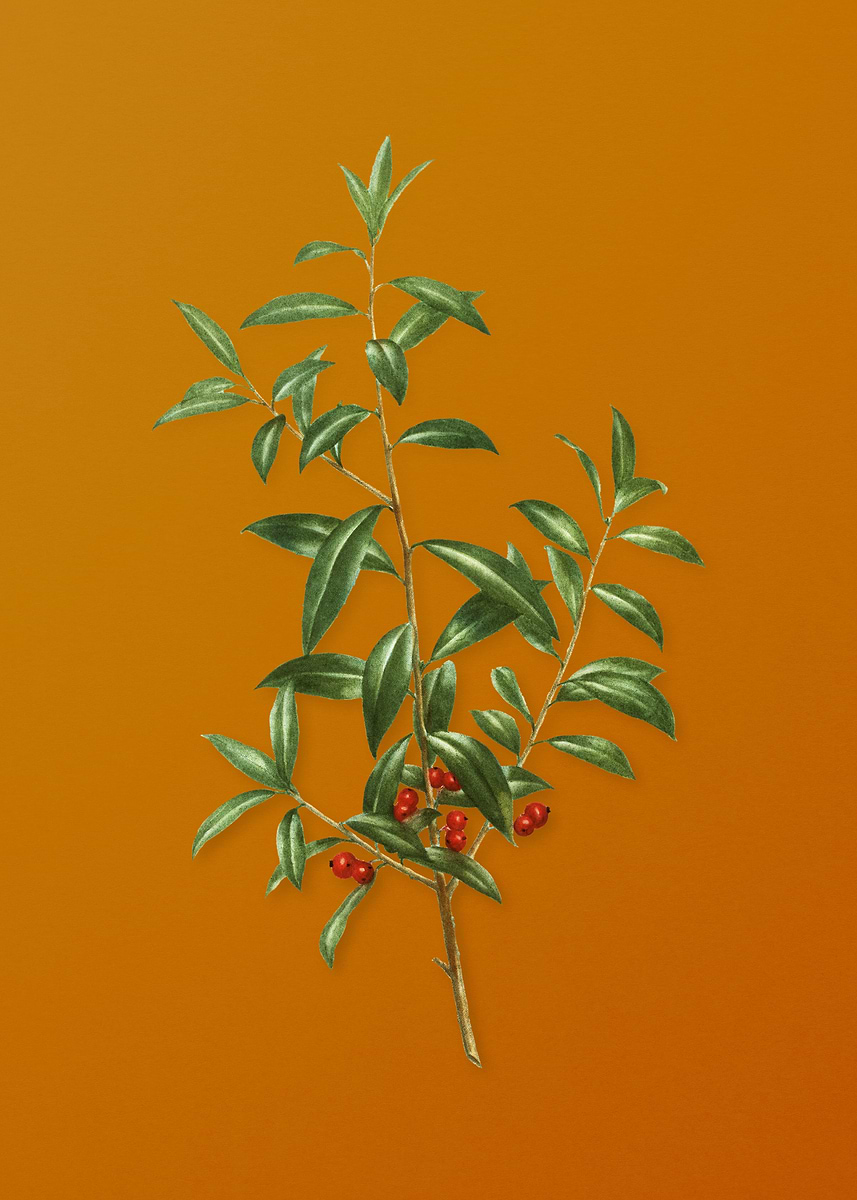 'Alabama Dahoon Branch' Poster, picture, metal print, paint by Holy ...