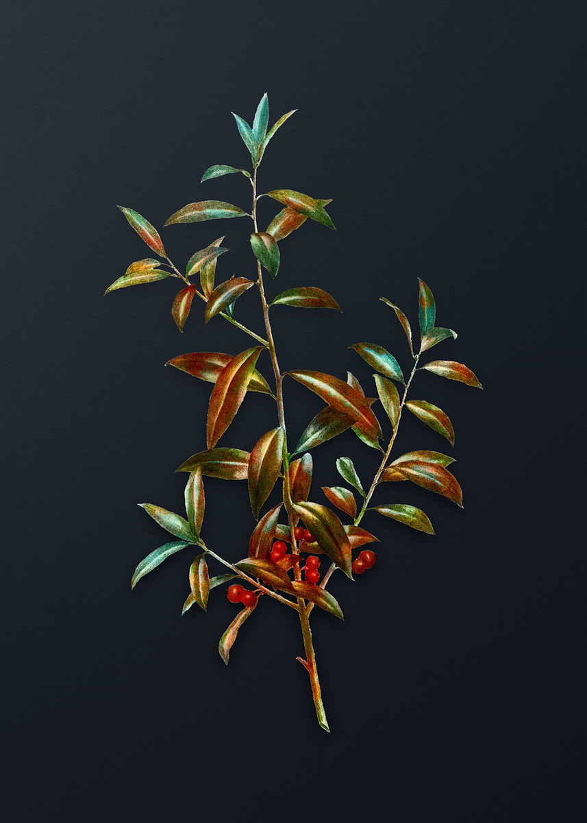 'Alabama Dahoon Branch' Poster, picture, metal print, paint by Holy ...
