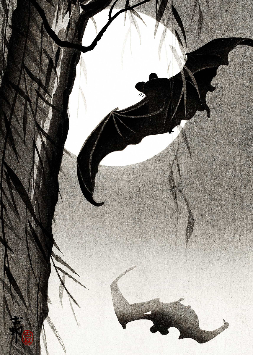 'Full moon and bats' Poster, picture, metal print, paint by aeiaua ...