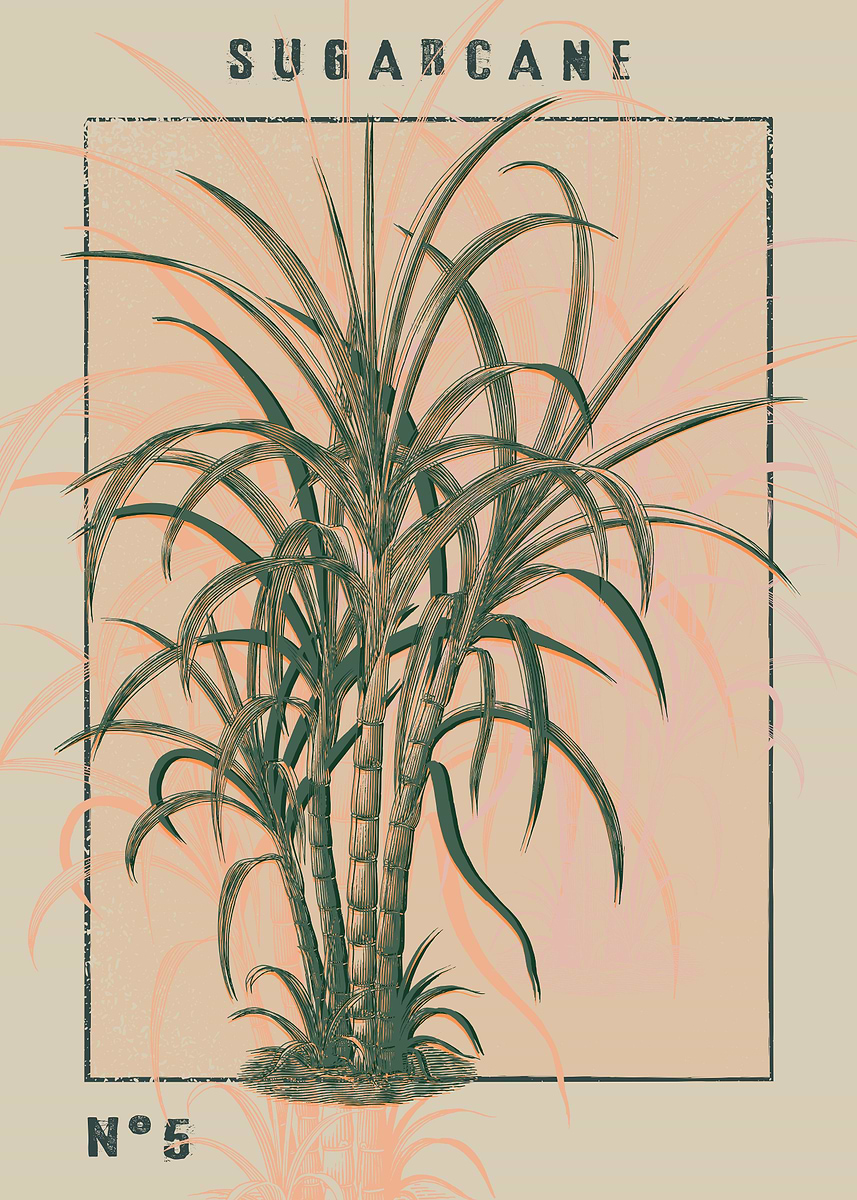 'Sugarcane' Poster, picture, metal print, paint by BluePinkPanther ...