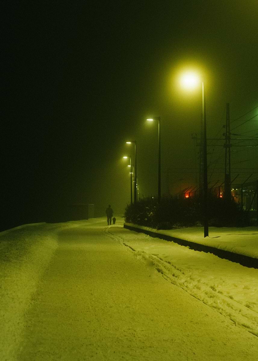 'yellow snow ' Poster, picture, metal print, paint by Gard Bekk ...