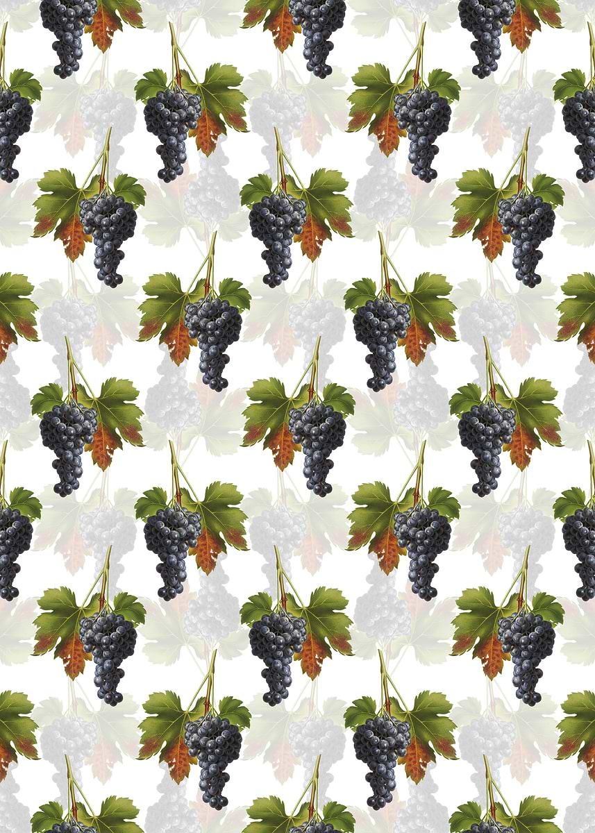 'White Raisin Grape Pattern' Poster, picture, metal print, paint by ...
