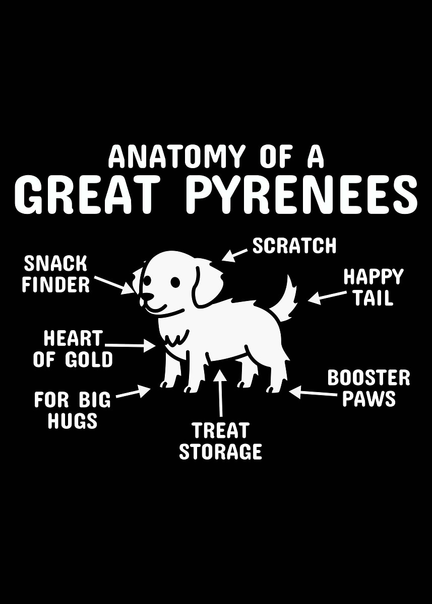 'Anatomy Of A Great Pyrenee' Poster, picture, metal print, paint by ...