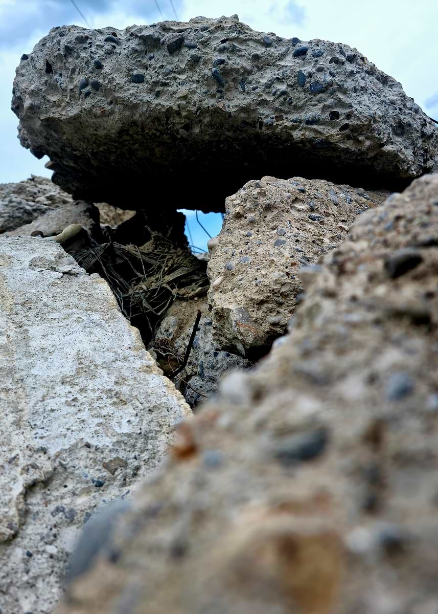 'Bear stone' Poster, picture, metal print, paint by Alexandru Bocioaca ...