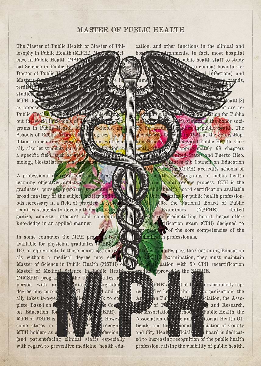 'MPH Graduation Gift' Poster, picture, metal print, paint by Aged Pixel ...