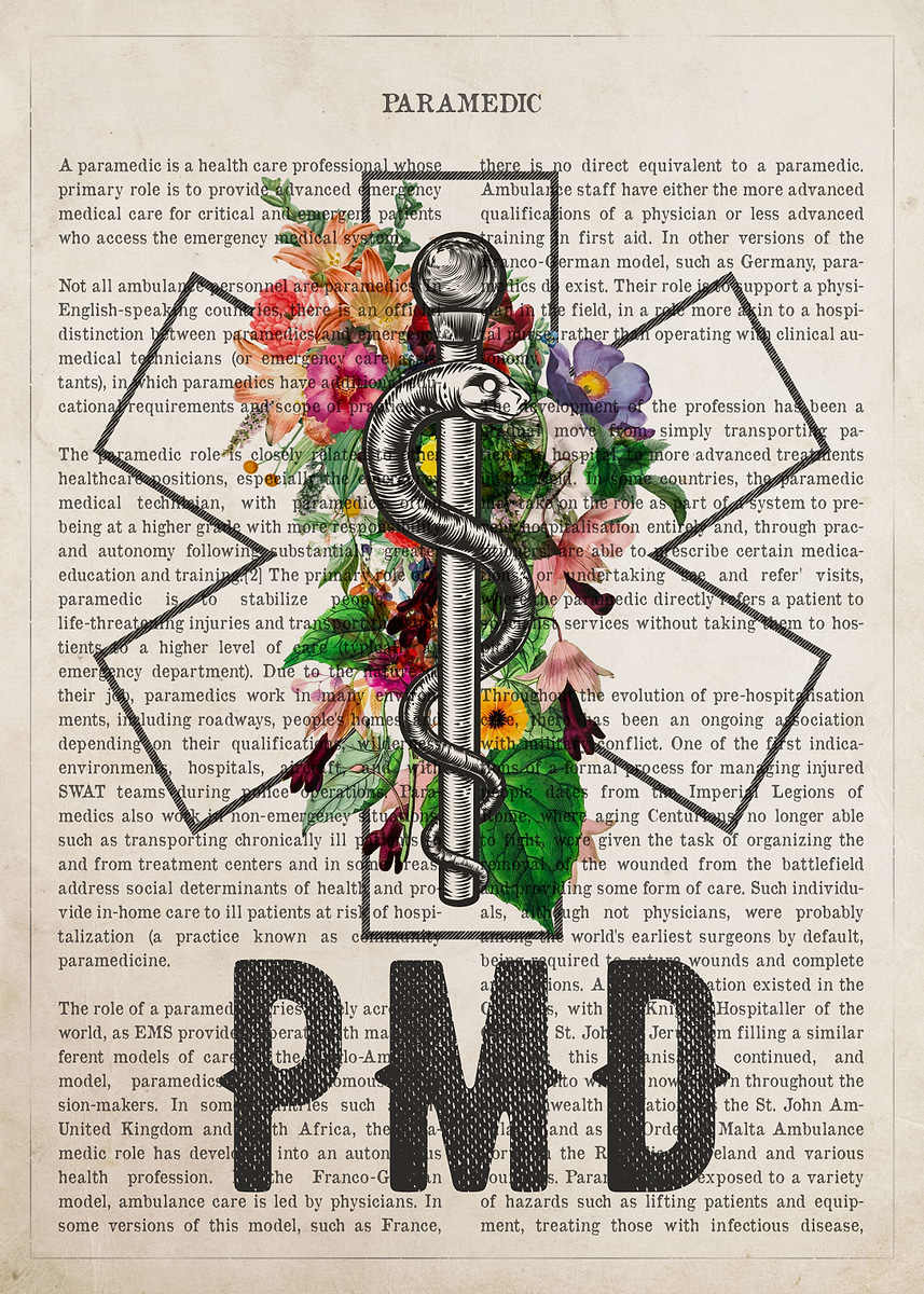 'PMD Graduation Gift' Poster, picture, metal print, paint by Aged Pixel ...