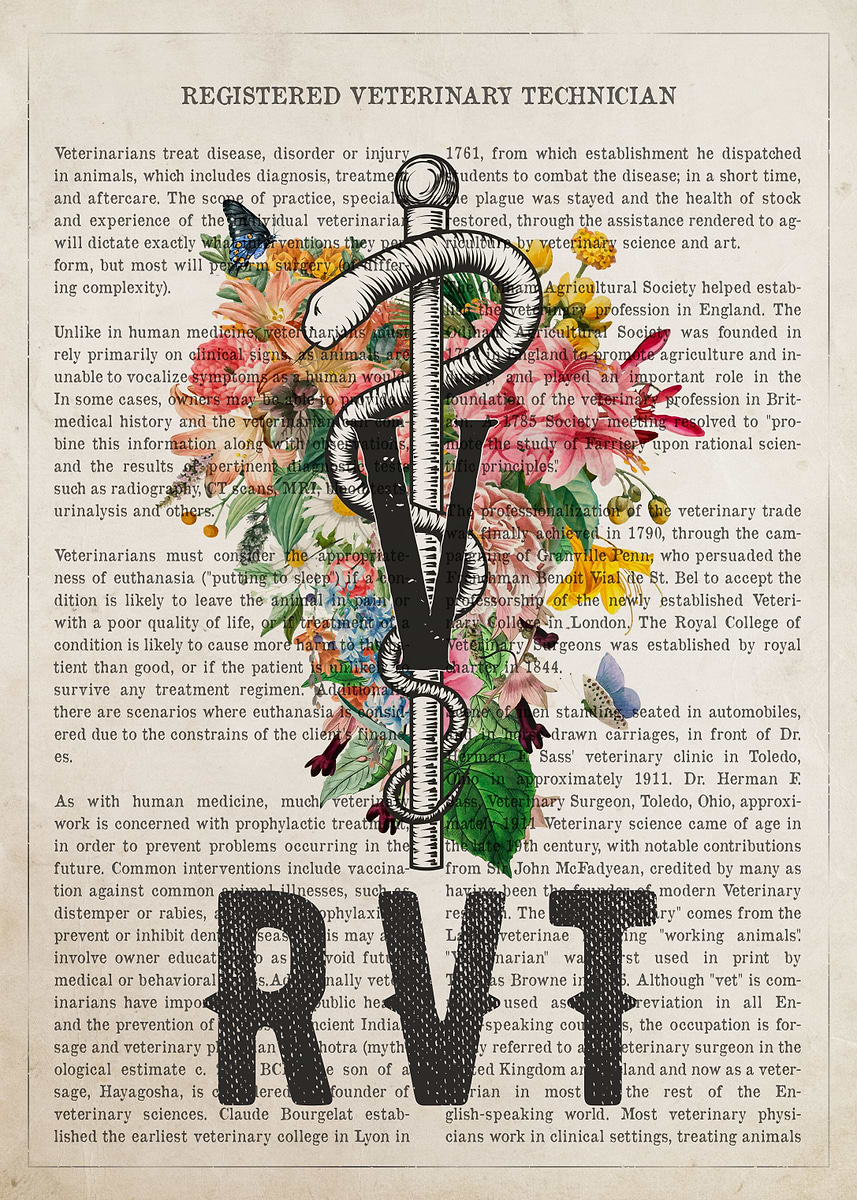 'RVT Graduation Gift' Poster, picture, metal print, paint by Aged Pixel ...
