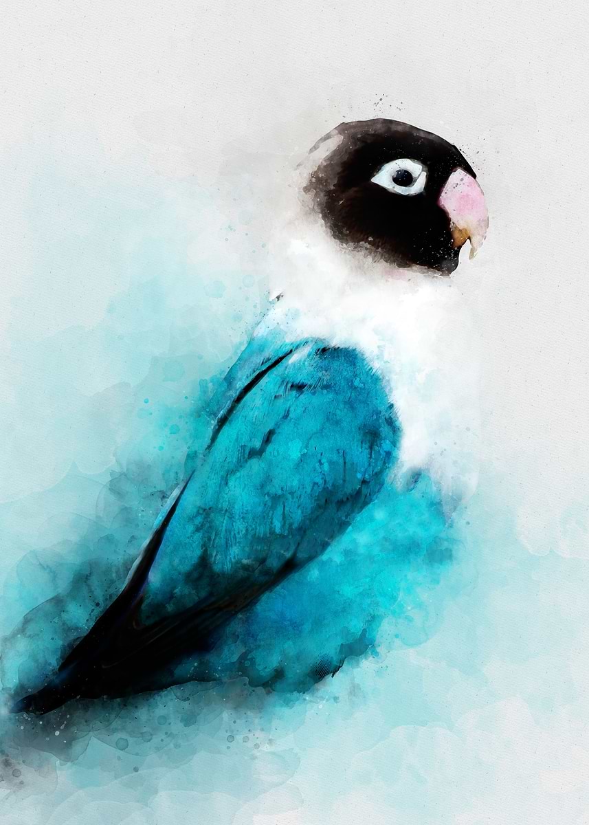 'Watercolor lovebird bird' Poster, picture, metal print, paint by Drama ...