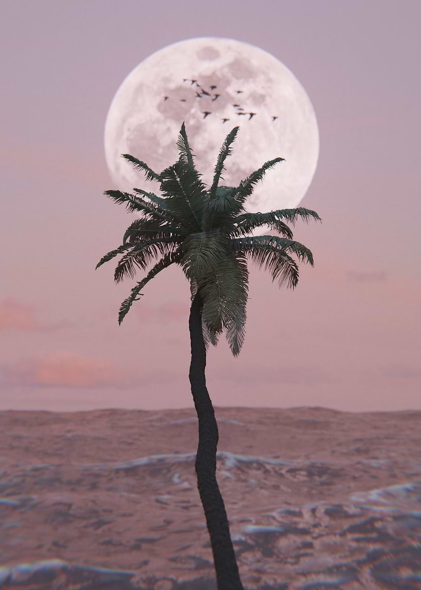'aesthetic coconut tree' Poster, picture, metal print, paint by ...
