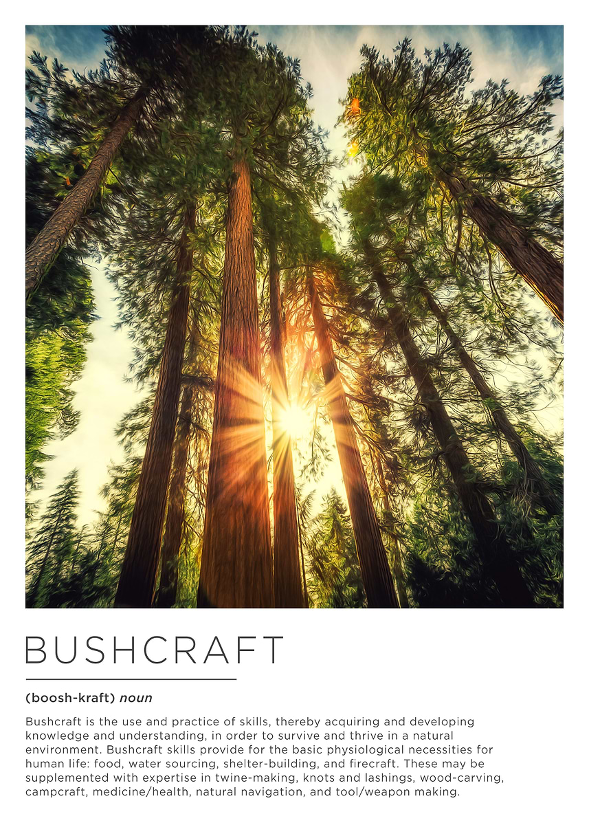 'Bushcraft Landscape 2' Poster, picture, metal print, paint by ...