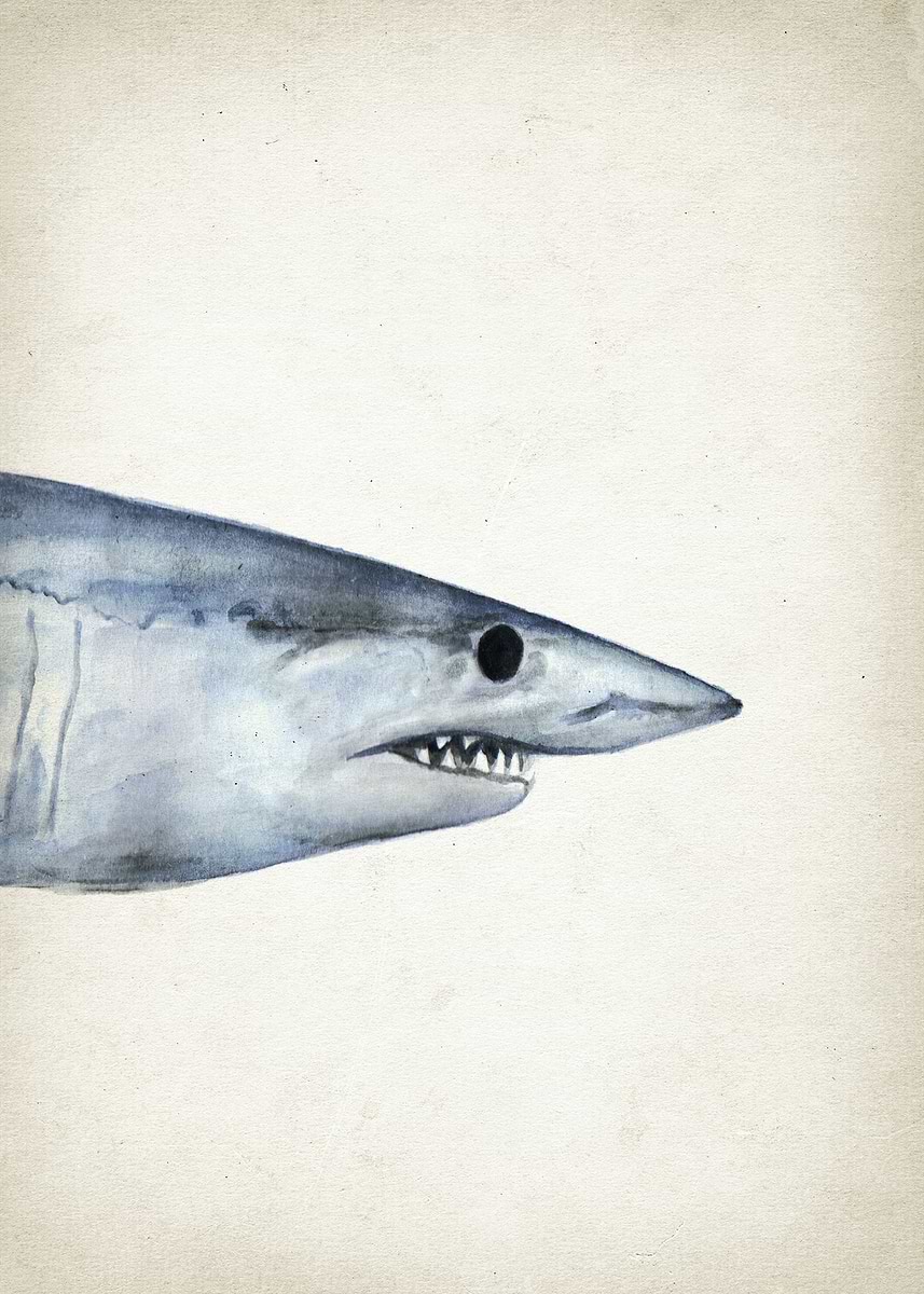 'Mako Shark Art Part 1' Poster, picture, metal print, paint by ...