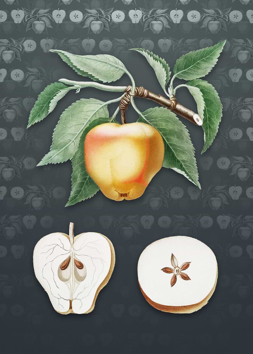'Vintage Carla Apple' Poster, picture, metal print, paint by Holy Rock ...