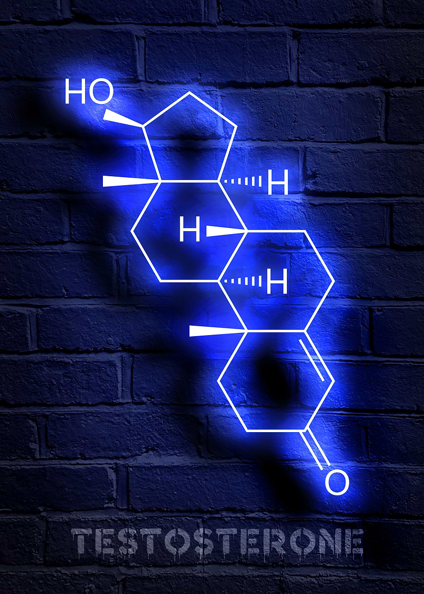 'Testosterone neon molecule' Poster, picture, metal print, paint by ...