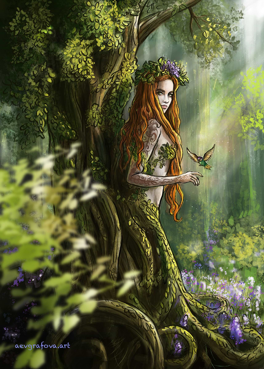 'Dryad' Poster, picture, metal print, paint by Anastasia Evgrafova ...