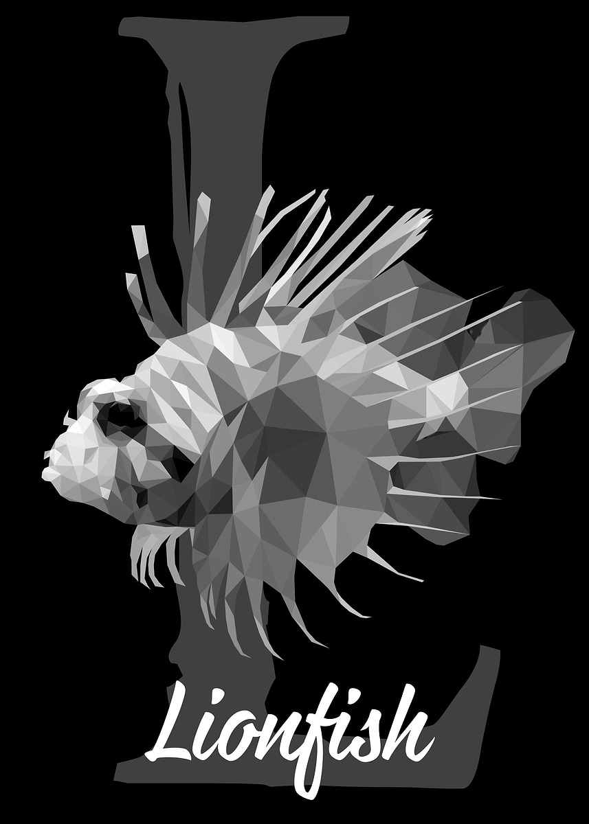 'Lionfish' Poster, picture, metal print, paint by minh doan | Displate