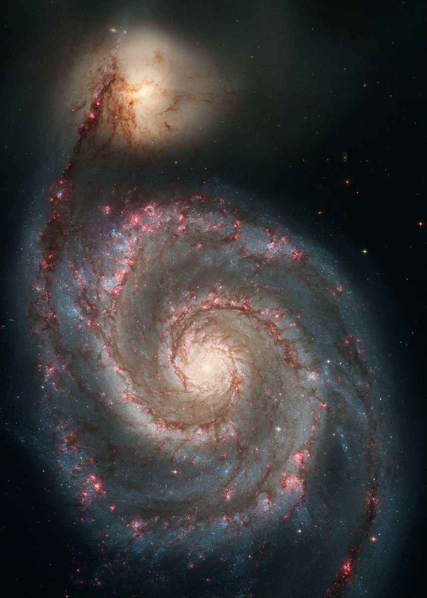 'Whirlpool Galaxy' Poster, picture, metal print, paint by Galaxy Images ...